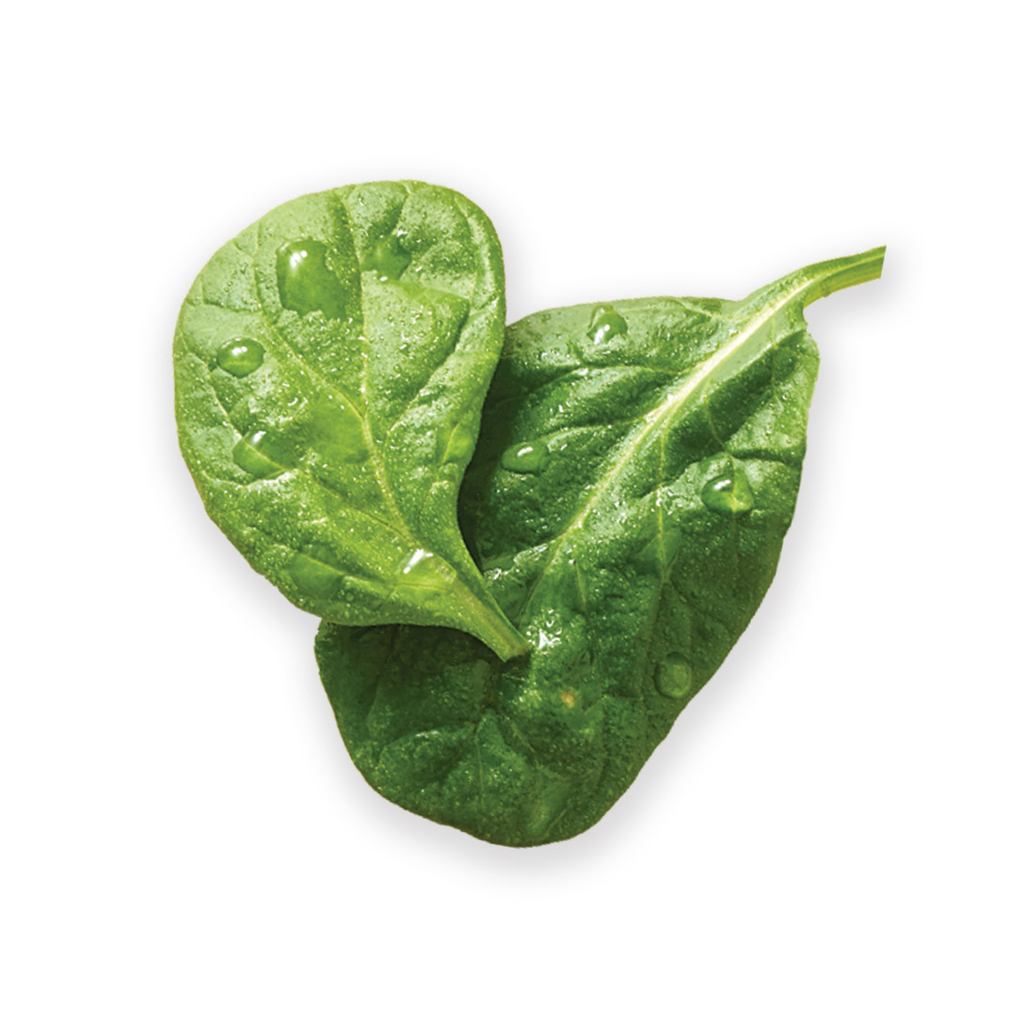 Tri Iron Folic Mezcla a Base de Vitamina C, Hierro, Espinaca y Ácido ...