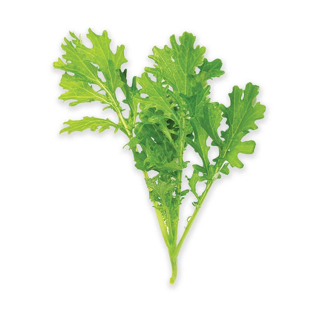 Tri Iron Folic Mezcla a Base de Vitamina C, Hierro, Espinaca y Ácido ...